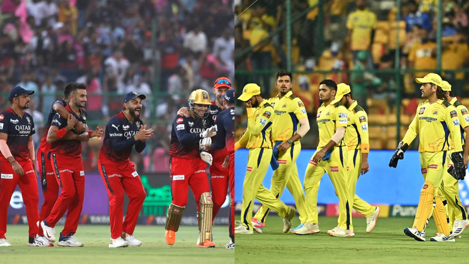 RCB and CSK's New Recruits Stand Out in Hobart Hurricanes' Road to the ...
